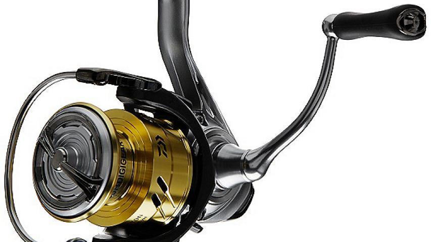 Daiwa Procyon LT fishing reels
